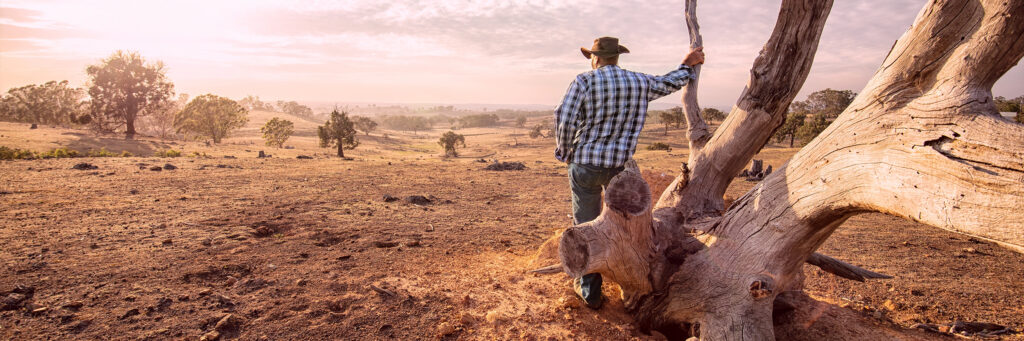 Dederang Township Water Supply | SMEC