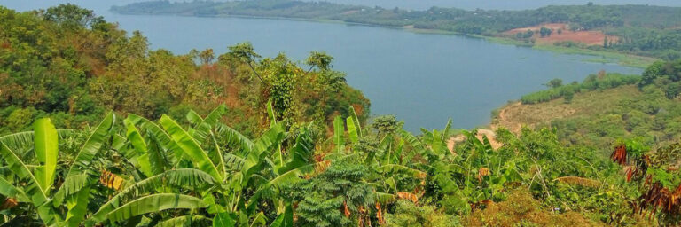 Shongtong Karcham Hydroelectric Project - SMEC