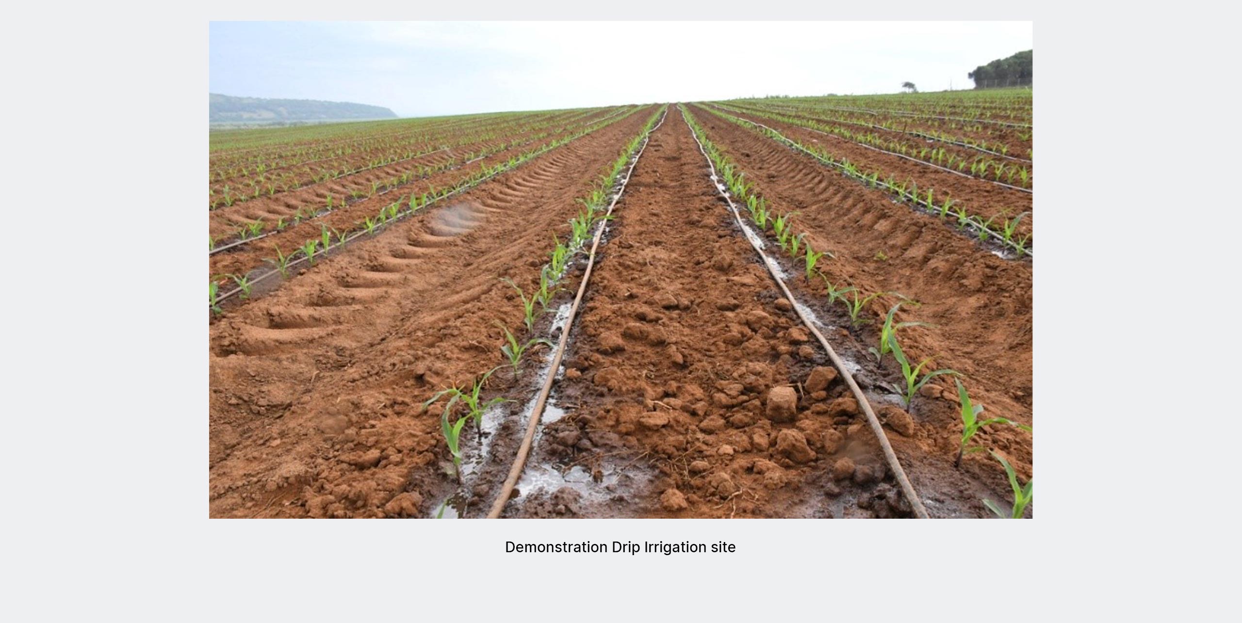 Prime Minister Dr Ngirente visits Gabiro Agribusiness Hub project, Rwanda
