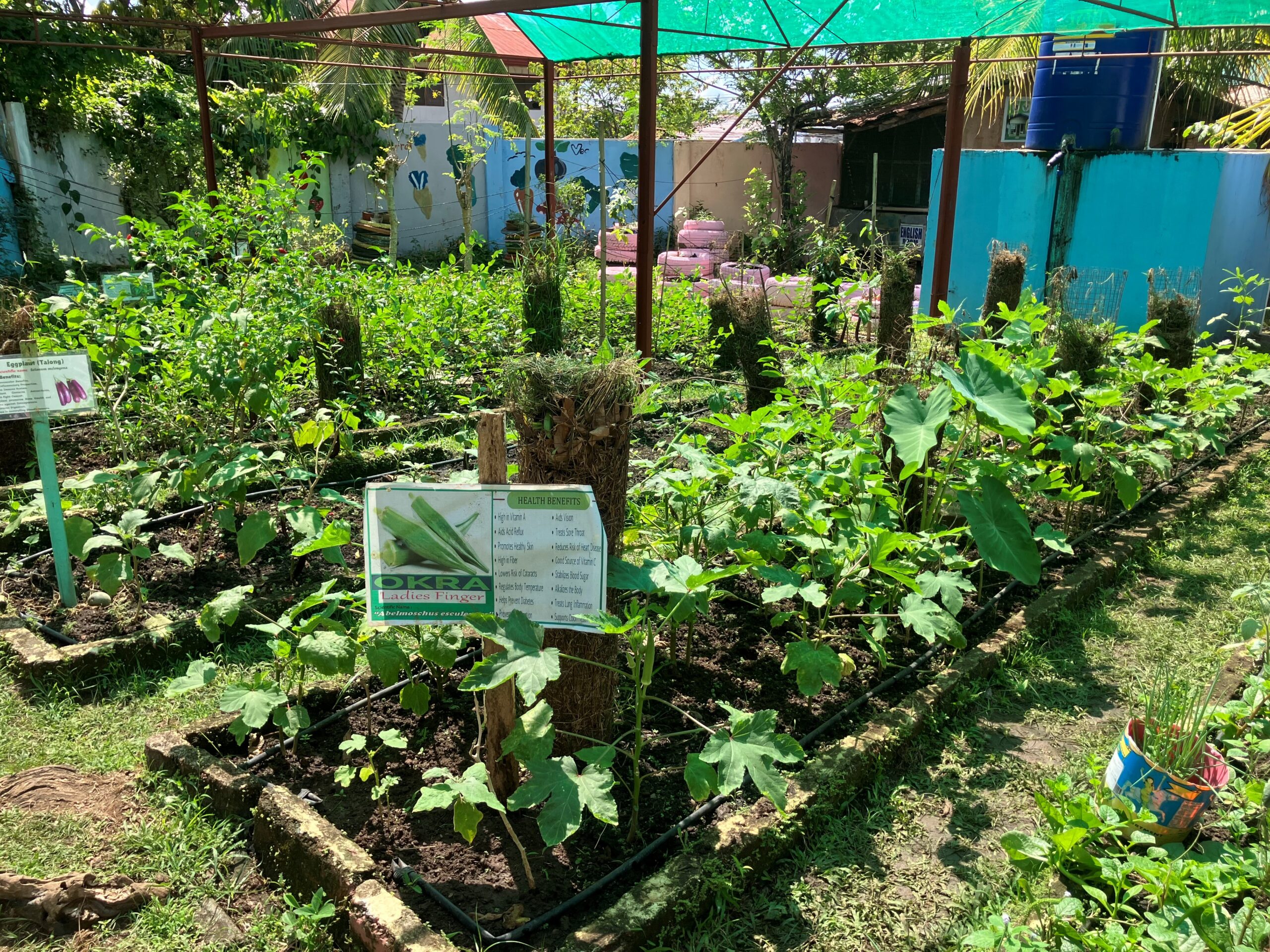 Building Futures Together: SMEC and AFFLIP’s Partnership for Schools in ...