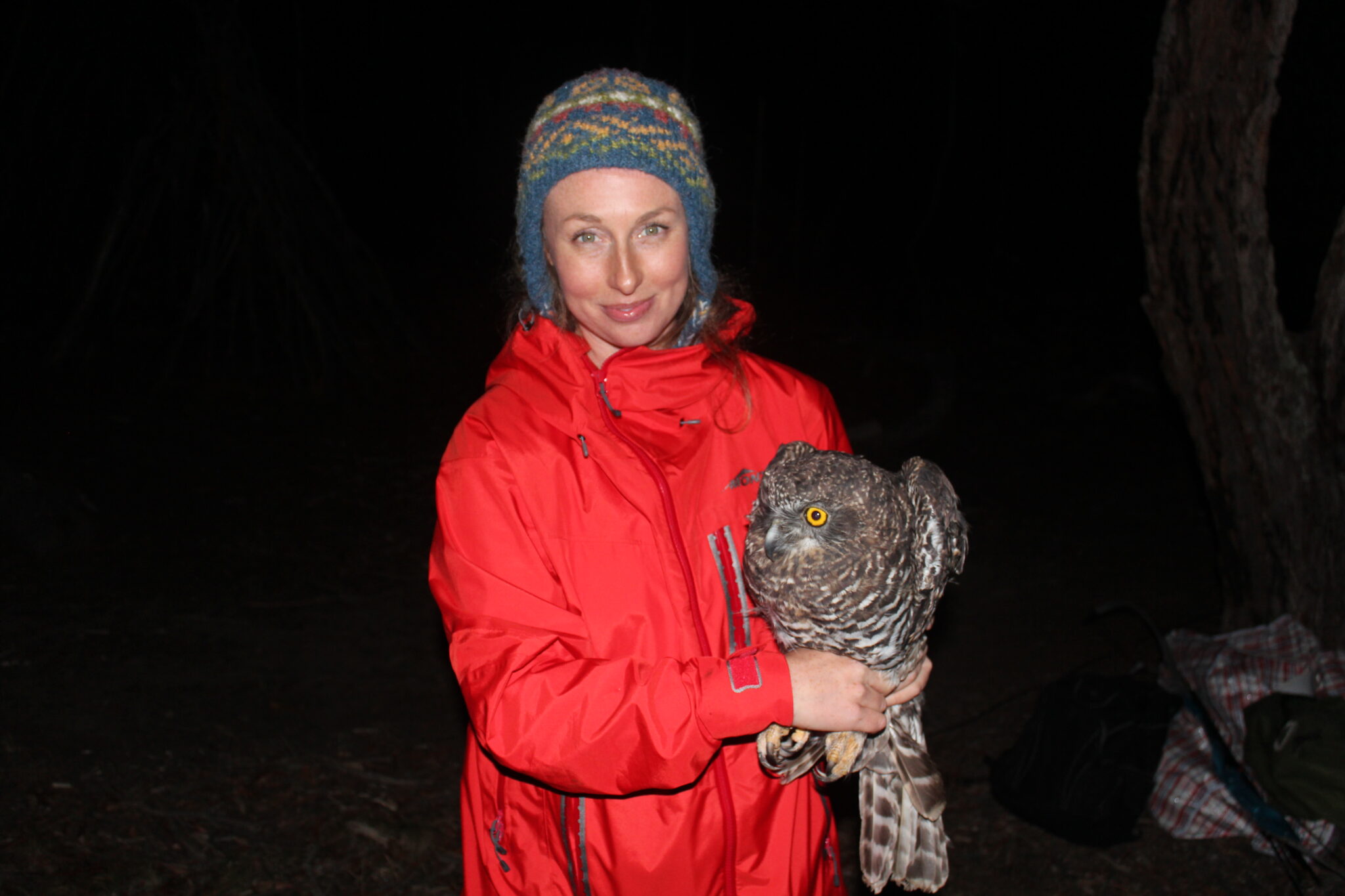 Protecting Powerful Owls: Unveiling Insights and Implications for ...